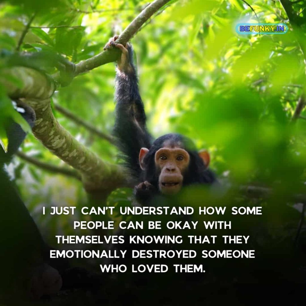 170+ Emotional Quotes | Best Emotional Quotes with Images