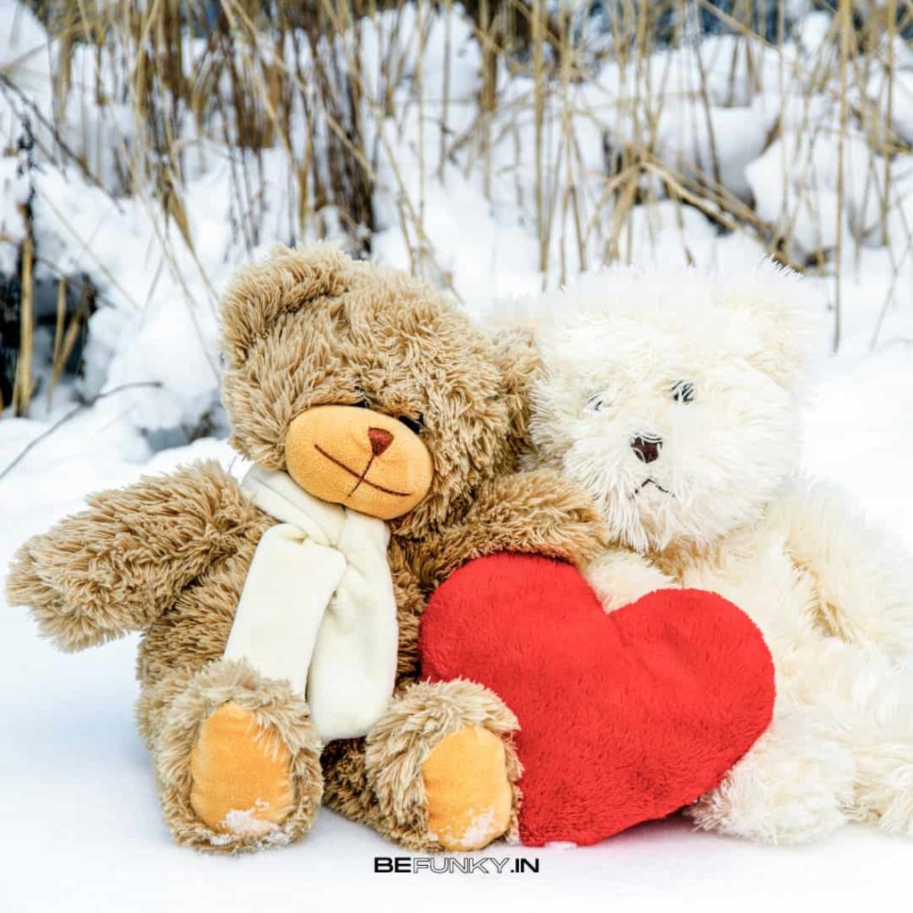 240+ Happy Teddy Day Wishes for GF, BF, Husband, Wife, Boss