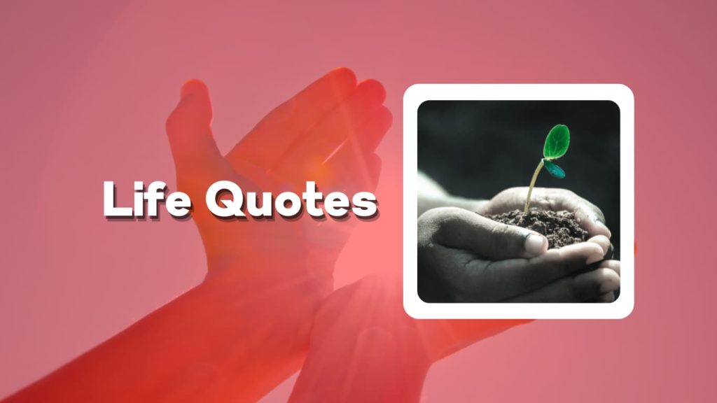 200+ Best Life Quotes That Will Transform Your Life
