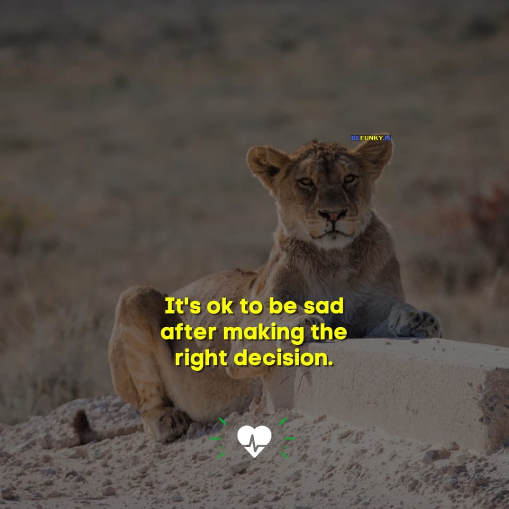 200+ Best Life Quotes That Will Transform Your Life