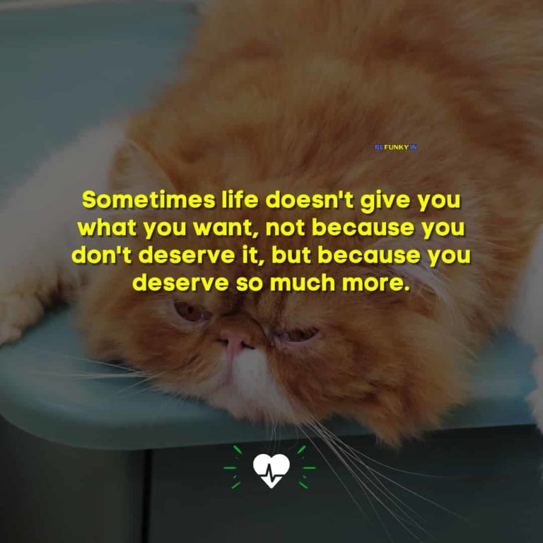 200+ Best Life Quotes That Will Transform Your Life