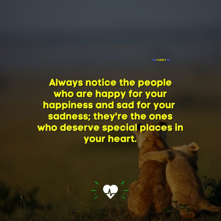 200+ Best Life Quotes That Will Transform Your Life