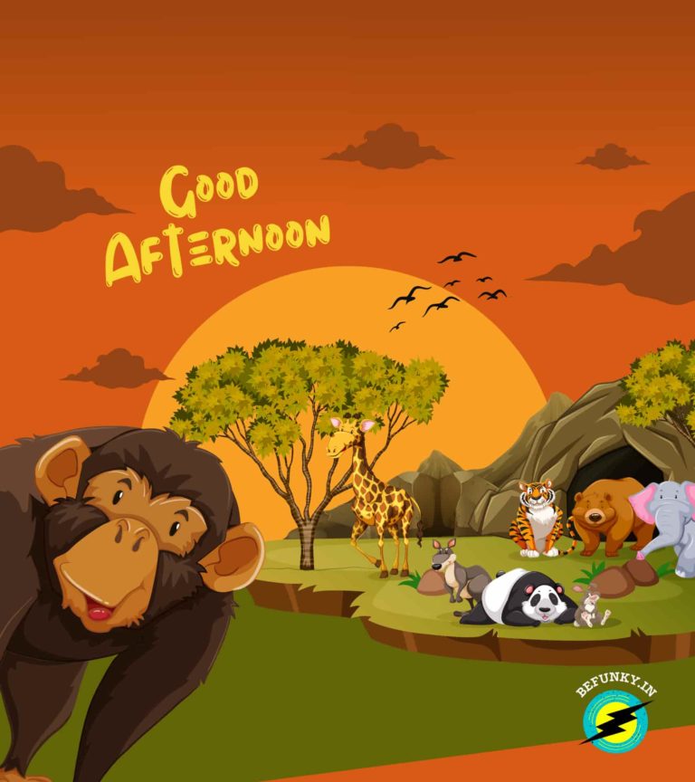 100+ Best Good Afternoon Images, Photos for WhatsApp