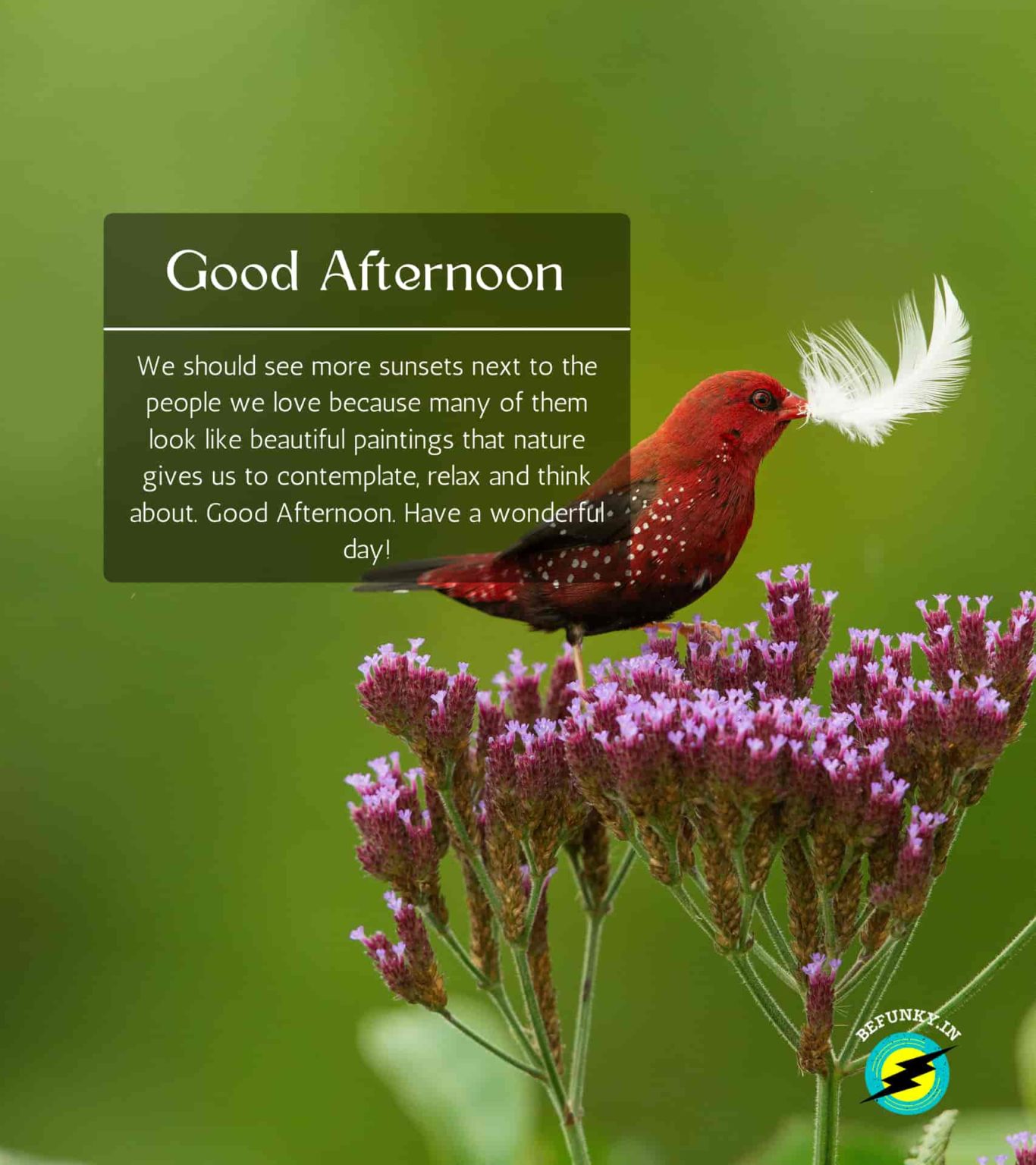 100+ Best Good Afternoon Images, Photos for WhatsApp