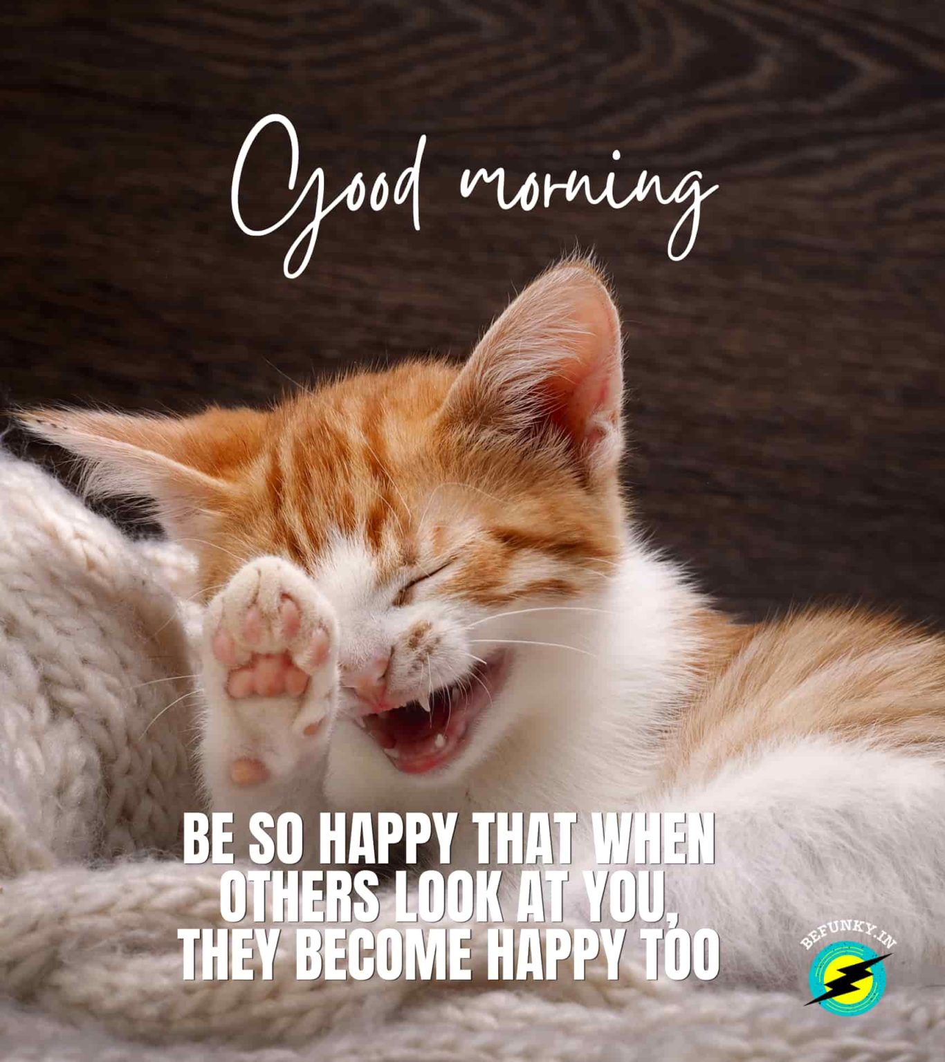 300+ Best Good Morning Quotes to Get Your Day Started